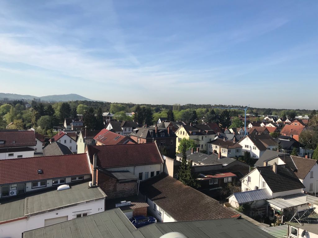 Schädlingsbekämpfung Darmstadt - Kleinlogel GmbH Schädlingsbekämpfung